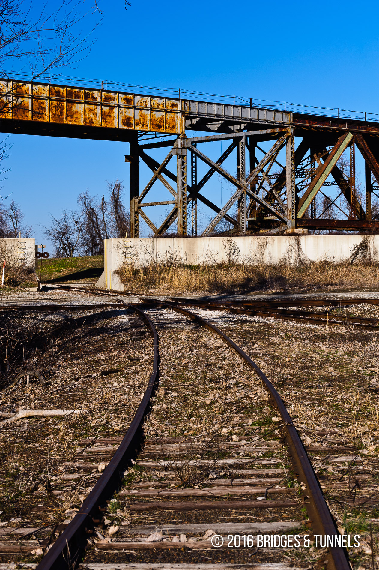Cairo Bridge (Illinois Central Railroad) - Bridges and Tunnels