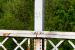 Laurel Gorge Bridge - Bridges and Tunnels