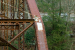 Bull Run Bridge - Bridges and Tunnels